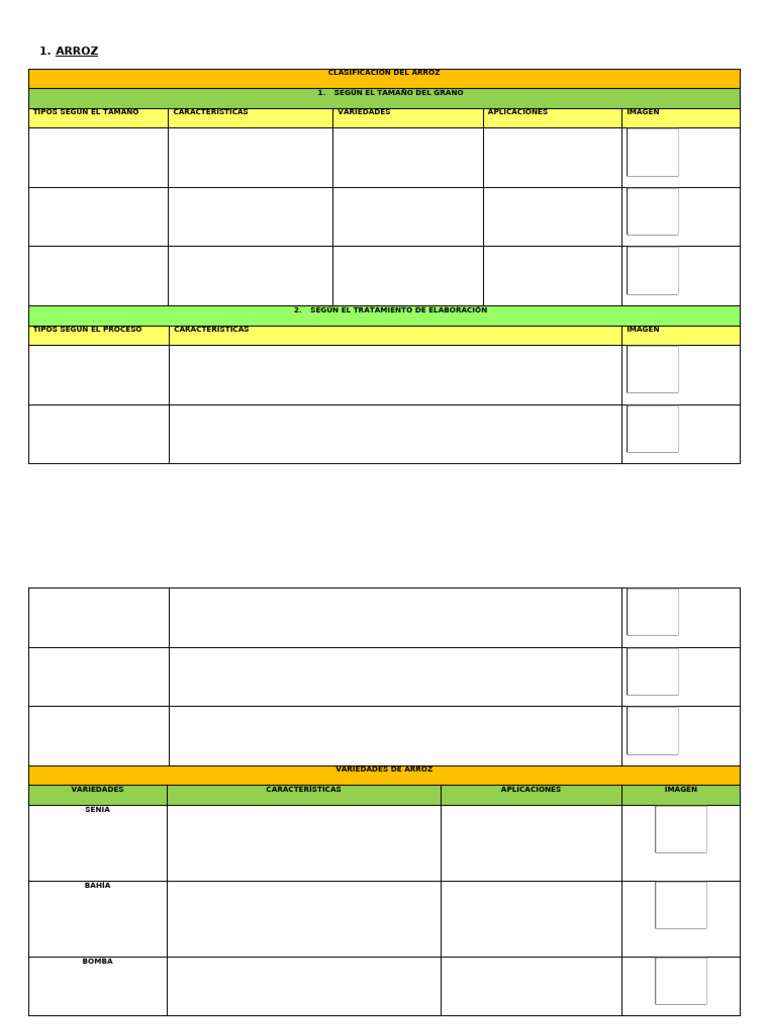 ACIVIDADES CEREALES CDT denia | PDF | Pasta | Arroz