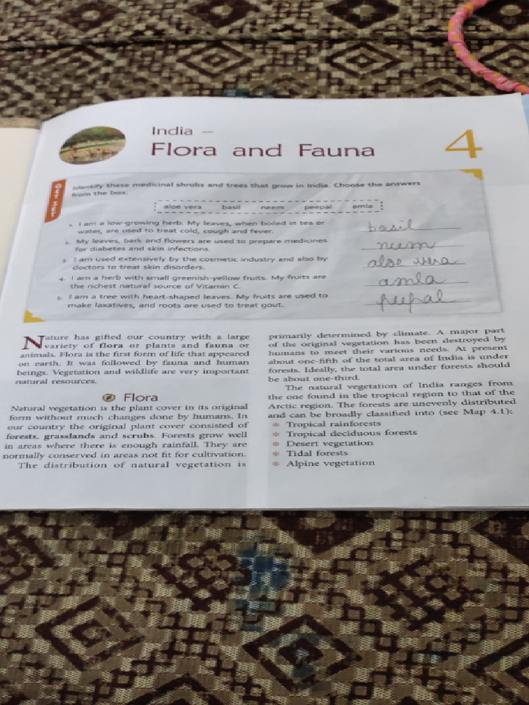 CH - Flaura and Fauna | PDF