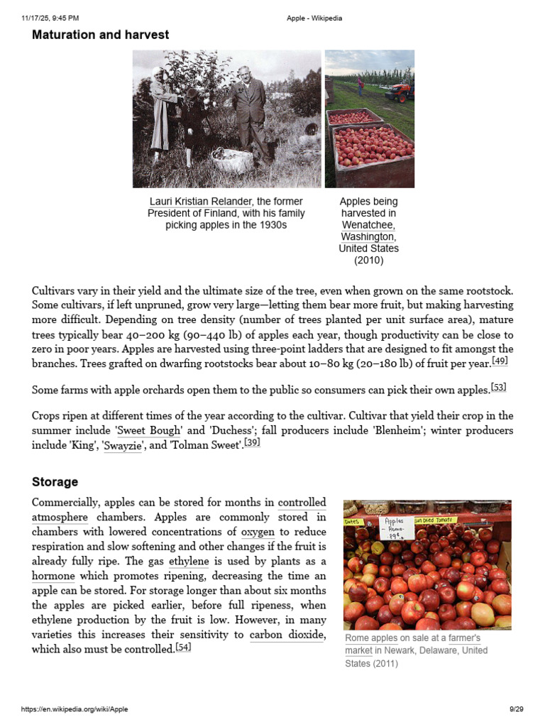 3rd Apple - Wikipedia | PDF | Apple | Botany