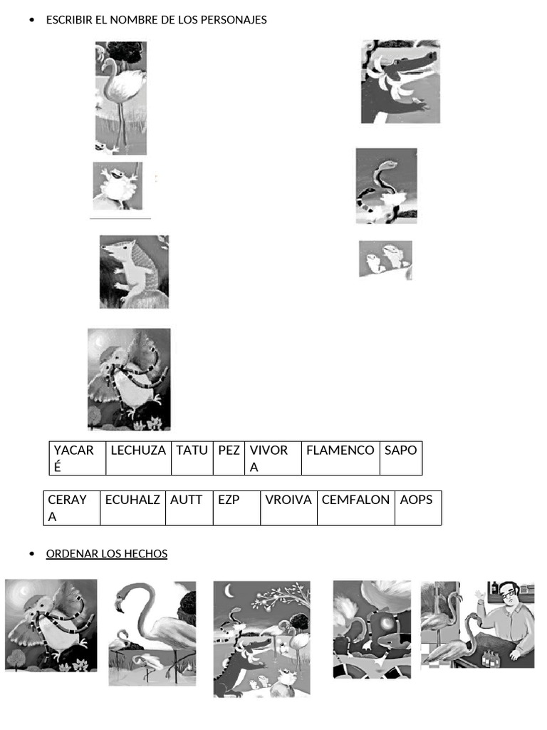 ACT MEDIAS DE LOS FLAMENCOS | PDF | Zoología