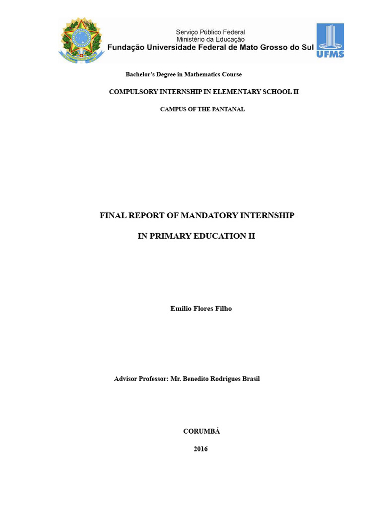 Final Report - Elementary School II - Emilio Flores Filho - Academic ...