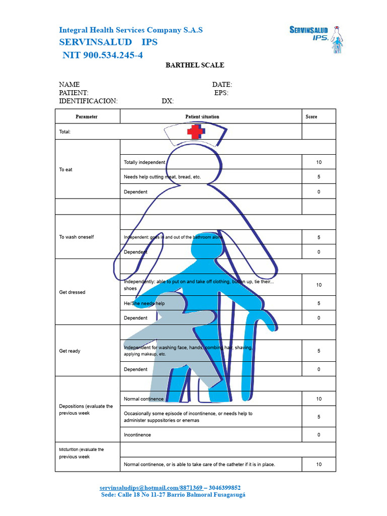 Barthel Scale Patient Assessment Form | PDF