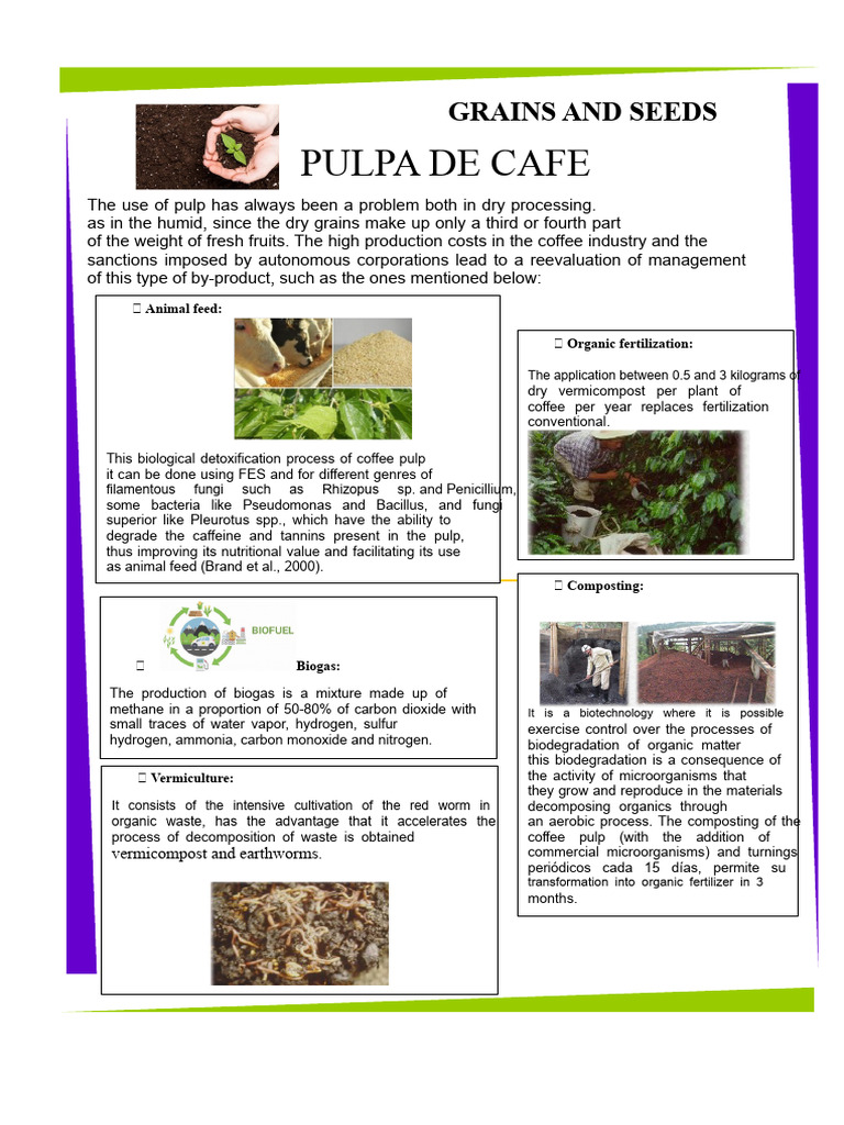 Coffee pulp. | PDF | Fertilizer | Compost