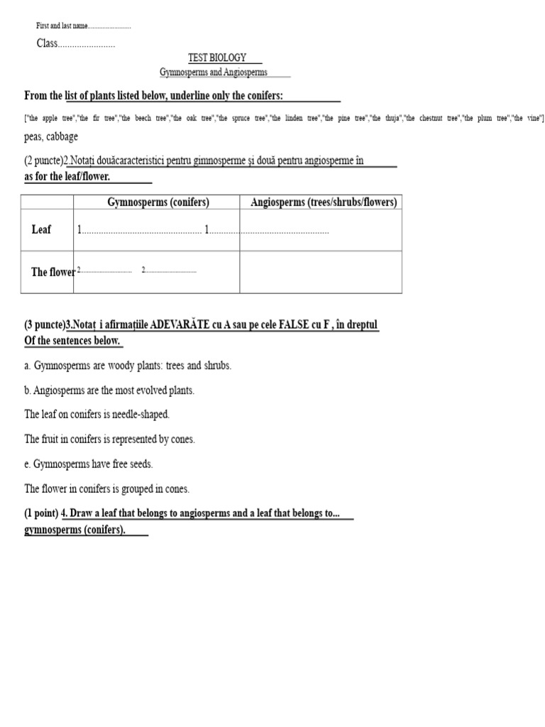 Test Gymnosperms and Angiosperms | PDF