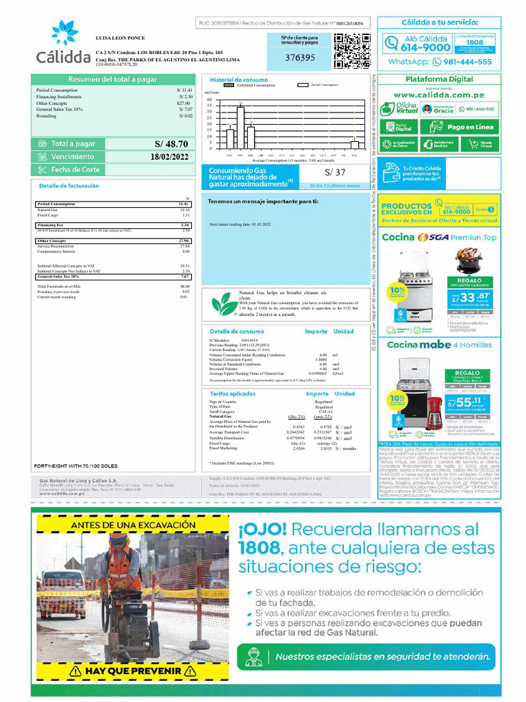 Natural Gas Consumption Invoice Summary | PDF | Economies