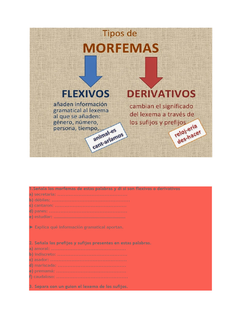 ACT - Deriv - Parasint - Compuestas 1 Eso Facil | PDF | Gramática | Lingüística