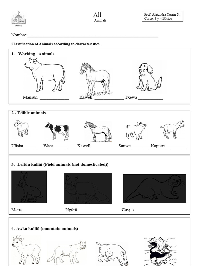 Animal Classification for 3rd and 4th Grade | PDF | Zoology