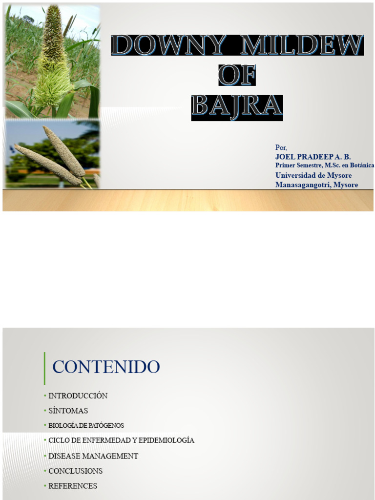 Mildew de Bajra.pptx | PDF | Hoja | Plantas