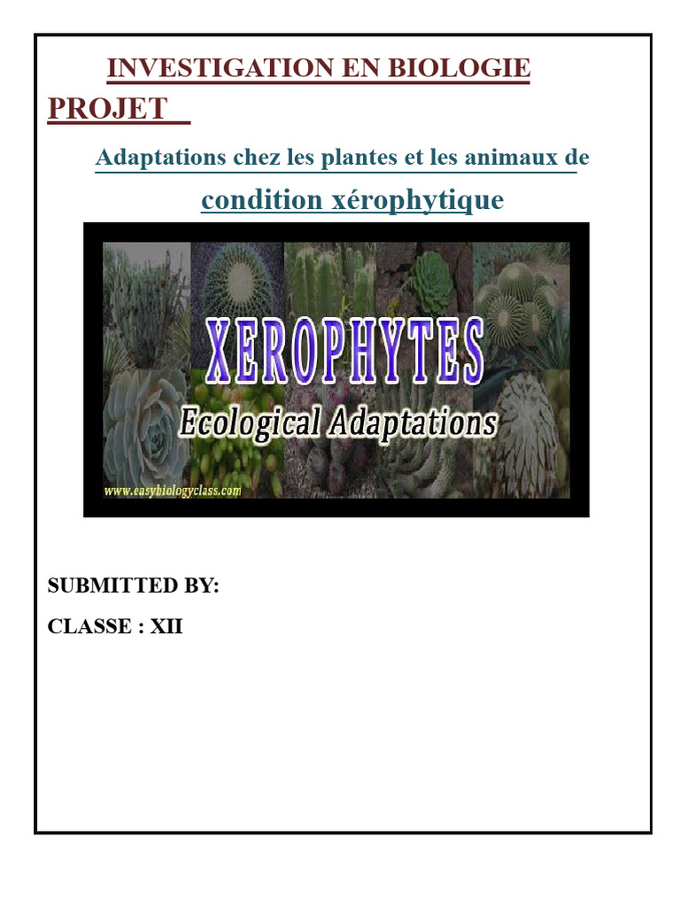 Adaptations des Xérophytes en Milieu Aride | PDF | Feuille | Plantes