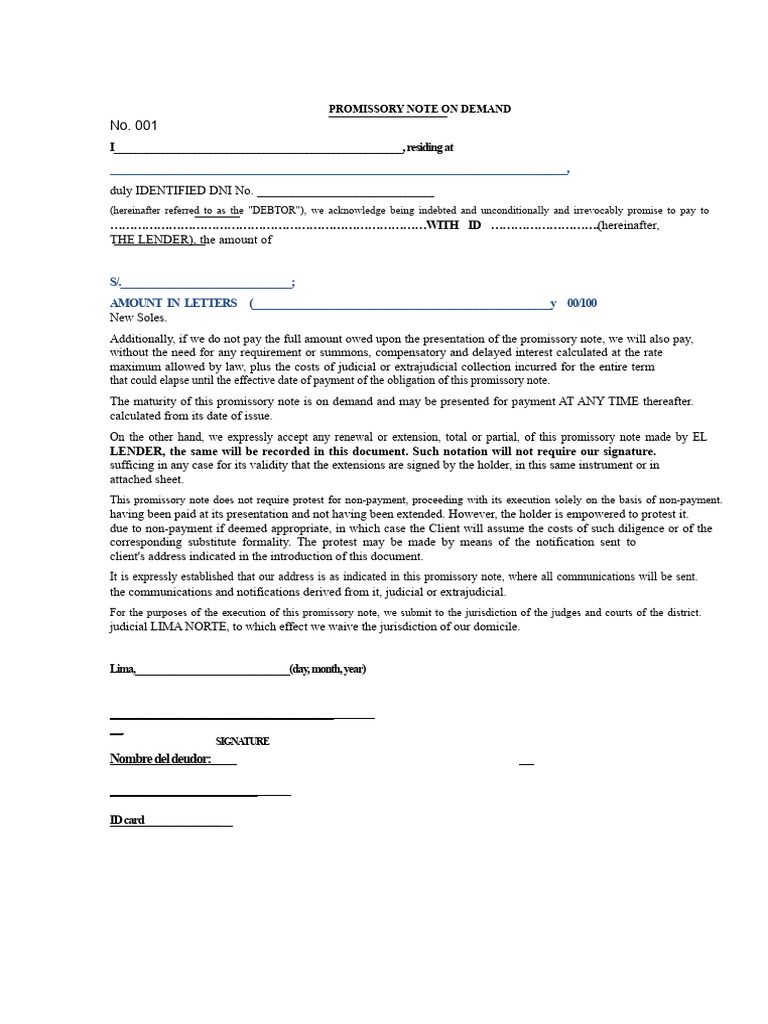 Demand Promissory Note Template | PDF | Promissory Note | Private Law