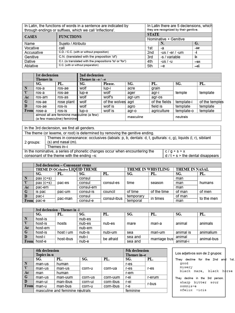 Latin Word Functions and Declensions | PDF | Grammatical Tense | Languages