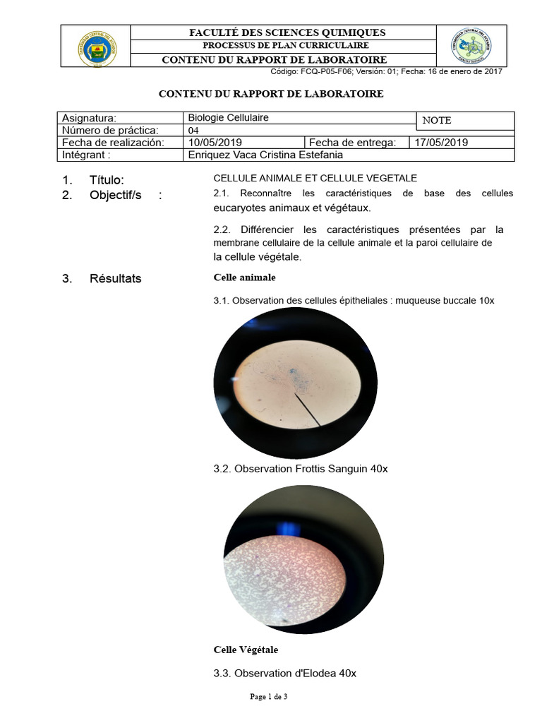 Rapport de laboratoire sur les cellules | PDF | Cellule (Biologie ...