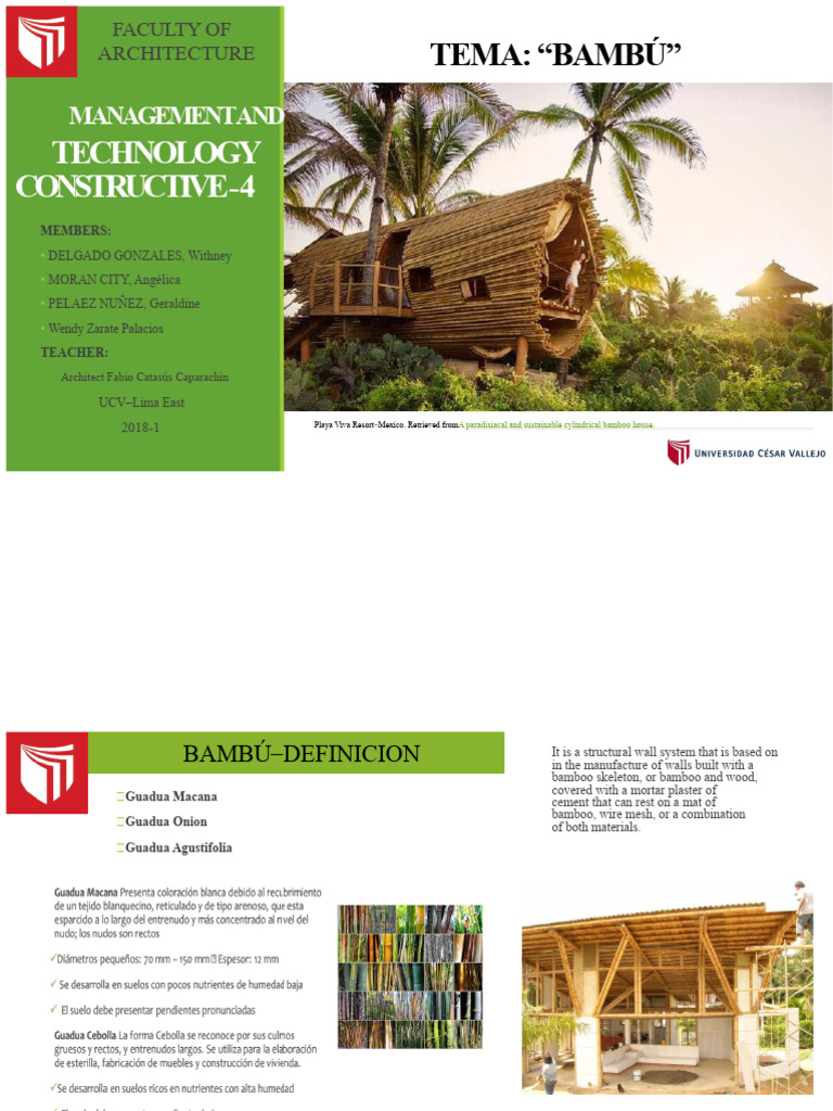 Construction with Bamboo | PDF | Beam (Structure) | Column