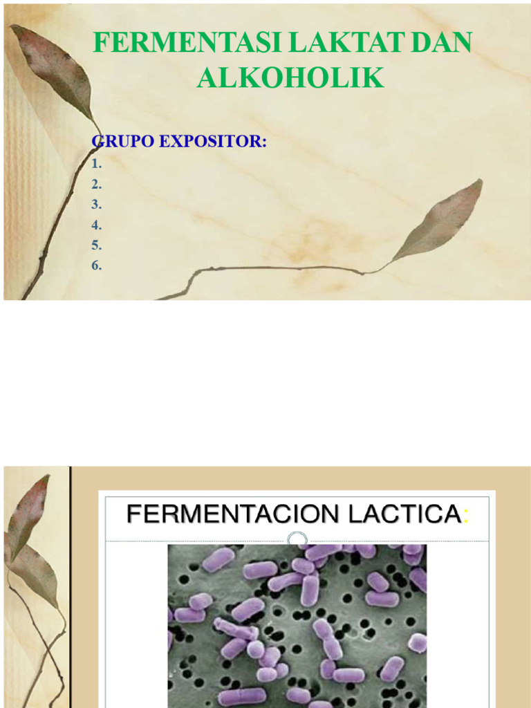 Fermentasi Laktat Dan Alkohol | PDF
