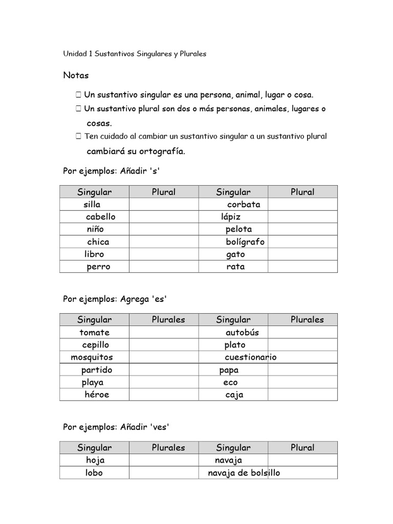 Unidad 1 Sustantivos Singulares y Plurales | PDF