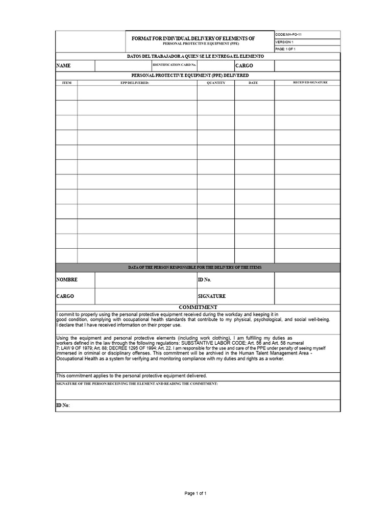Delivery Format of PPE | PDF