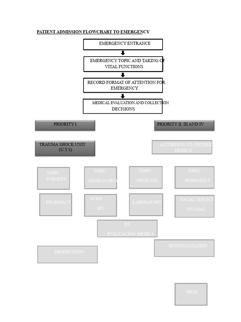 Flowchart For Patient Admission To Emergency | PDF