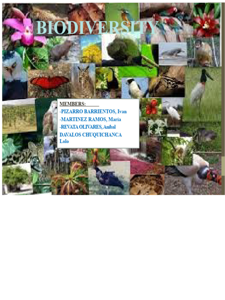 Biodiversity Slides | PDF | Biodiversity | Agriculture