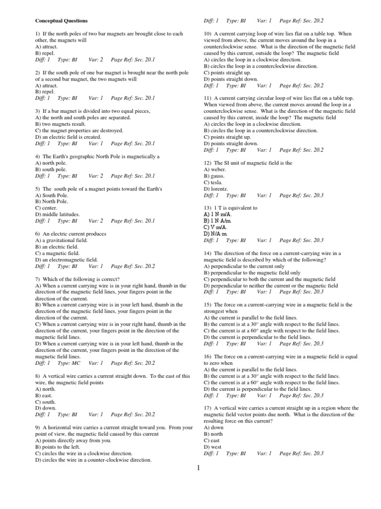 CH - 20 Magnetism Worksheet | PDF | Magnetic Field | Electric Current