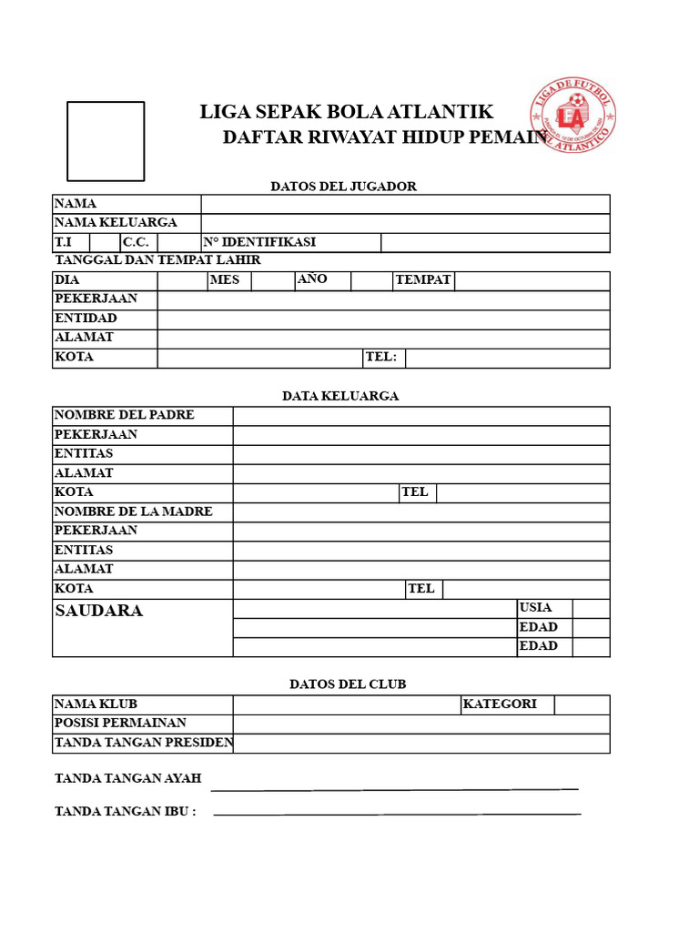 Format CV Liga 1 1 | PDF