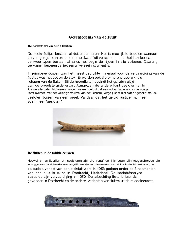 Geschiedenis Van de Fluit | PDF