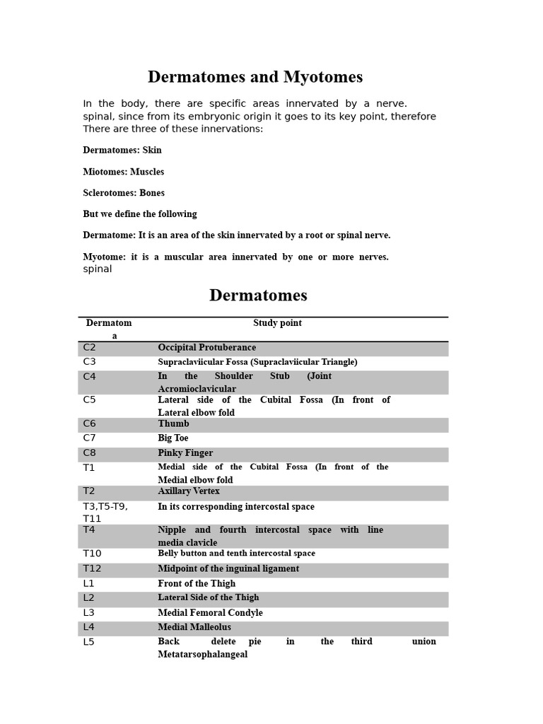 Myotomes and Dermatomes | PDF | Elbow | Anatomical Terms Of Motion