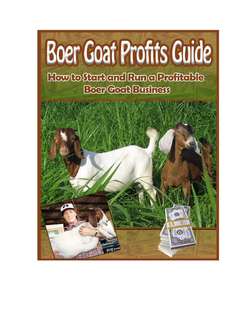 Rencana_Bisnis_Kambing_Boer | PDF