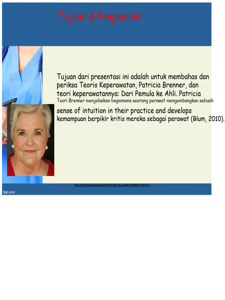 Patricia Benner | PDF