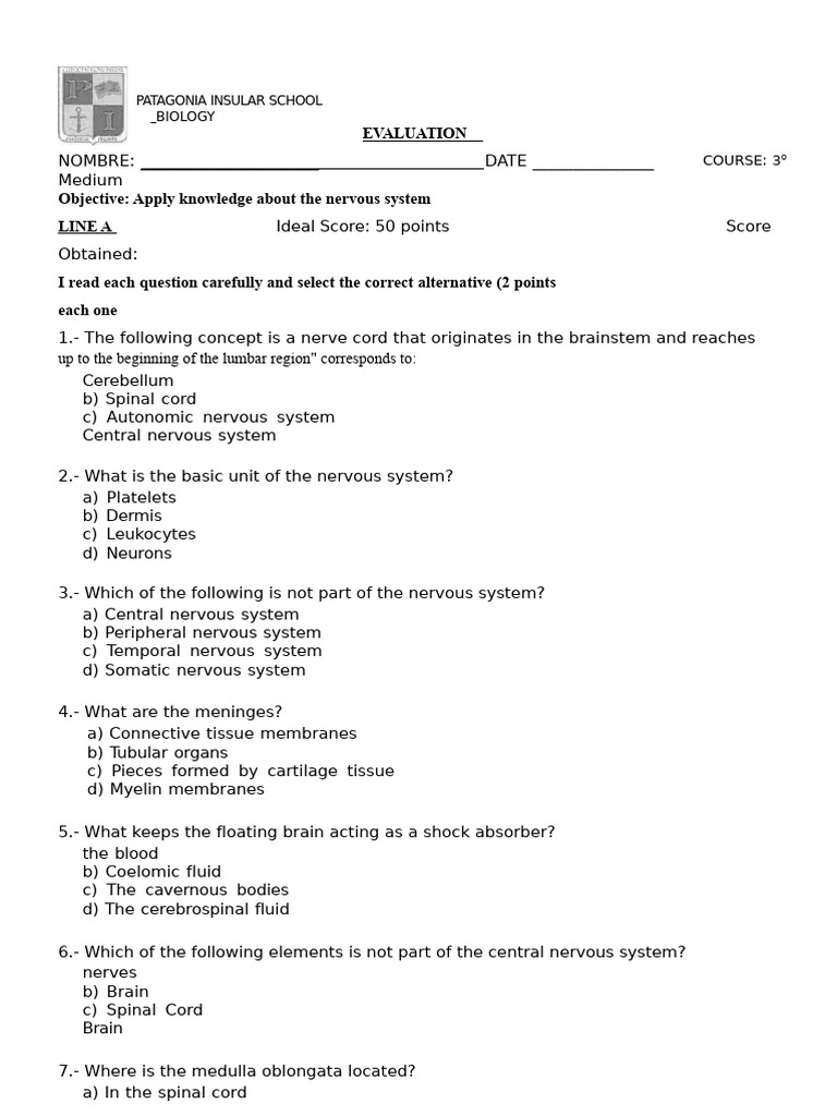 EVALUATION - Nervous System A | PDF | Central Nervous System | Nervous ...