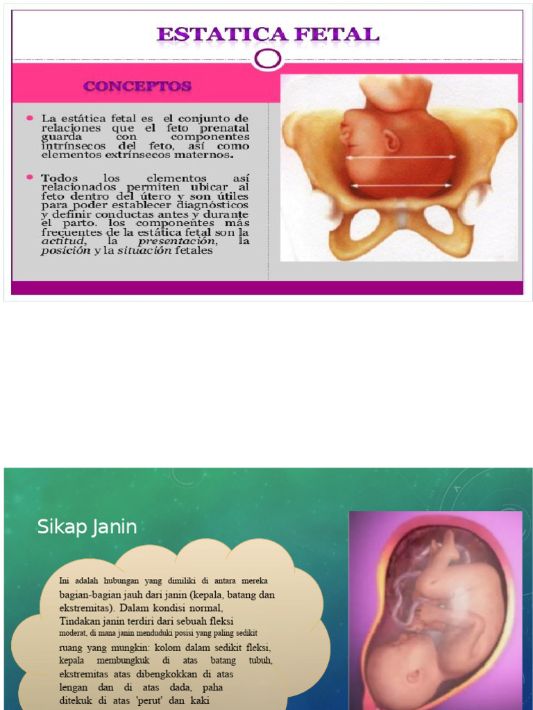 Sikap dan Presentasi Janin dalam Persalinan | PDF