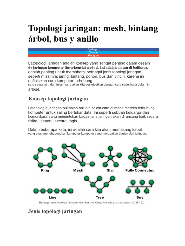 Topologi Jaringan | PDF