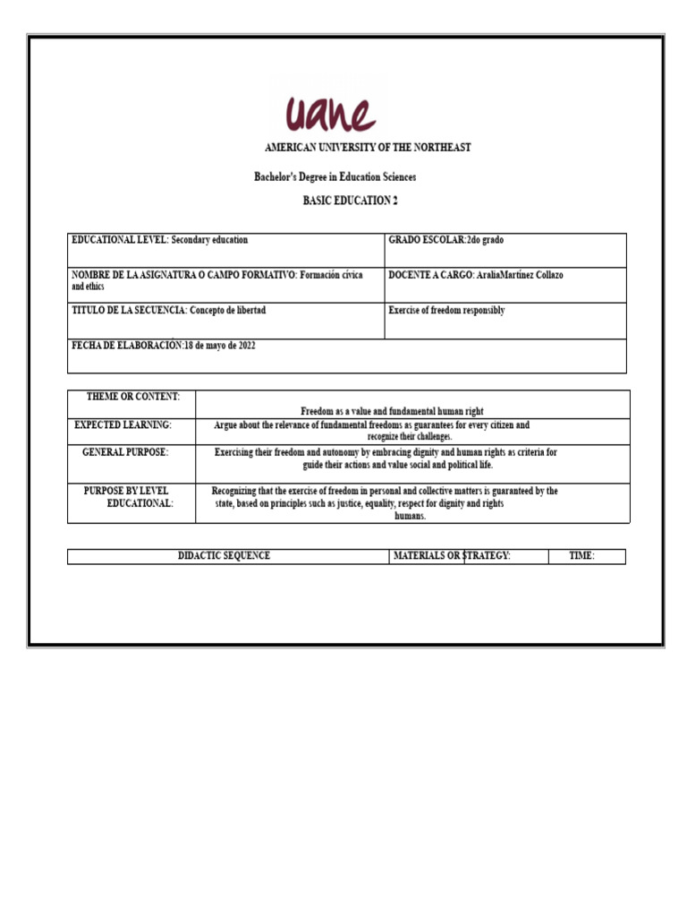 DIDACTIC PLANNING EXAMPLE: Freedom as a fundamental human value and right | PDF | Cognition ...