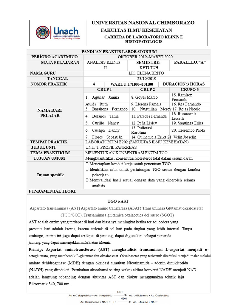 Panduan Praktis Tgo | PDF