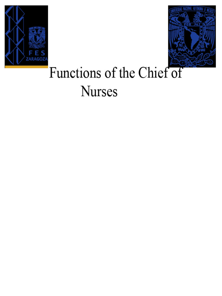 Chief Nurse Responsibilities and Functions | PDF | Nursing | Health Care