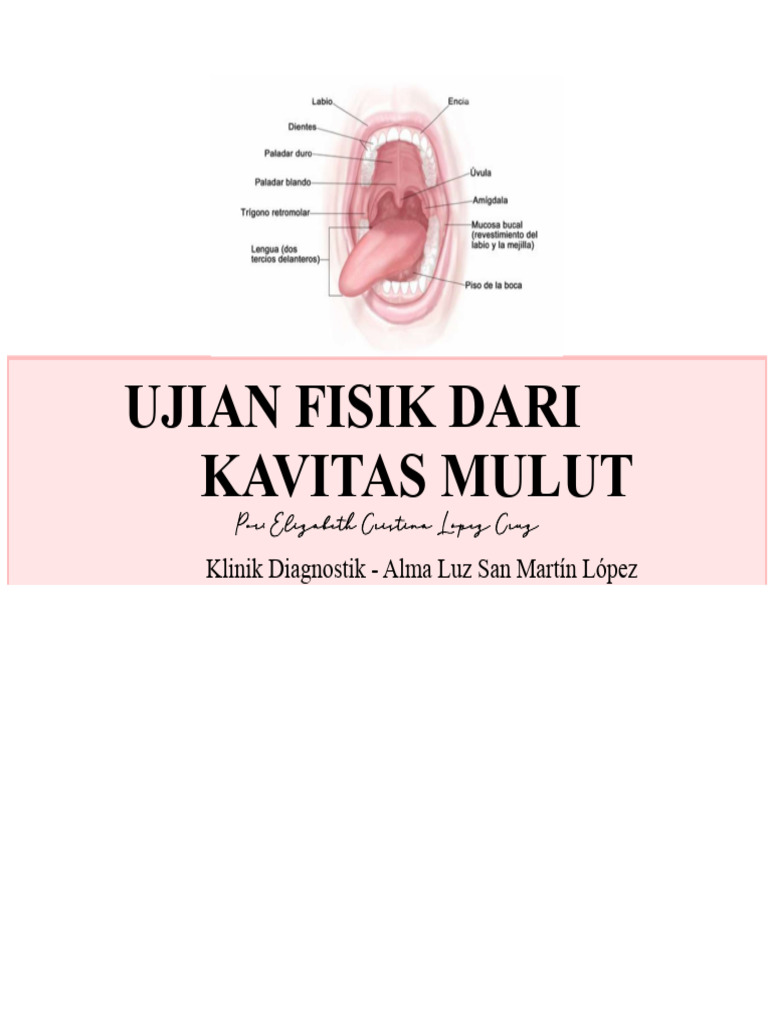 PEMERIKSAAN FISIK CAVITAS MULUT | PDF