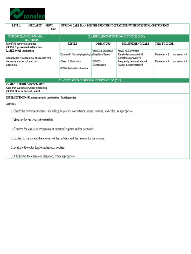 Nursing Care Plan for Intestinal Obstruction | PDF