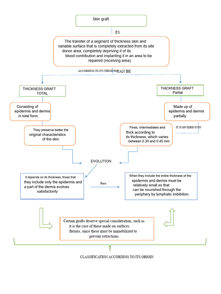 Conceptual Map Graft | PDF | Blood Vessel | Skin