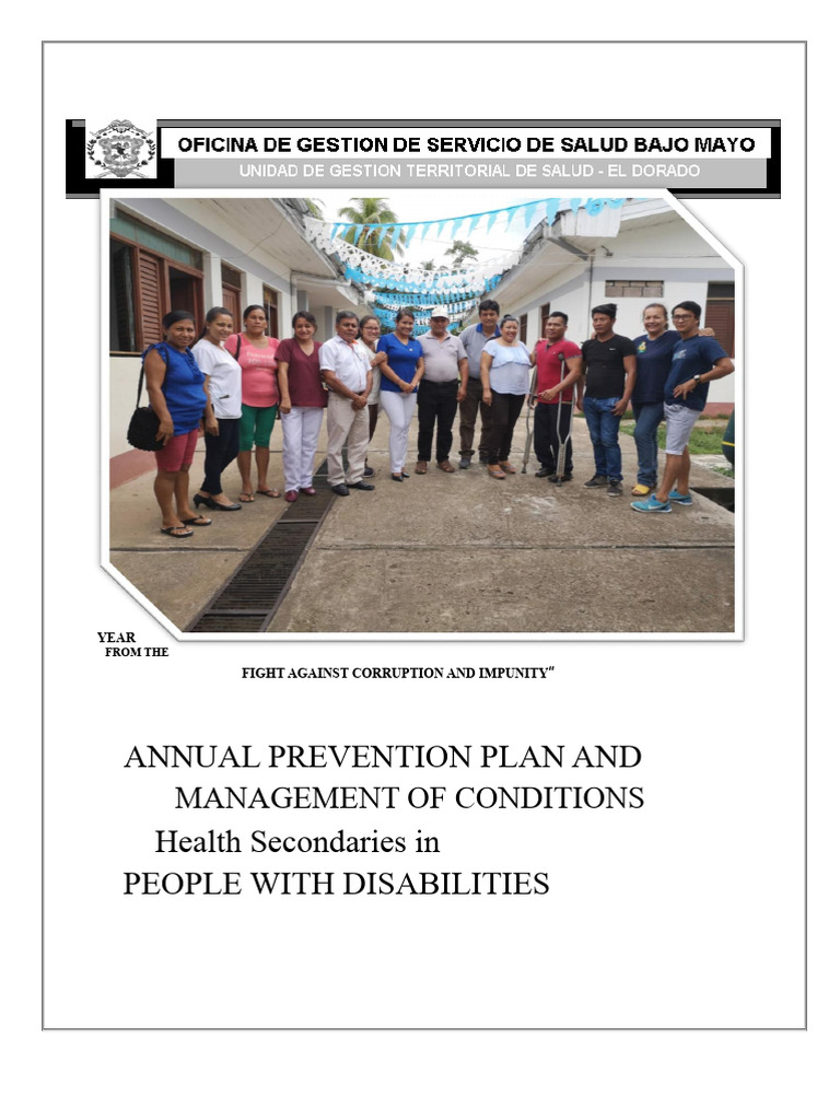 Annual Disability Plan 2019 | PDF | Disability | Social Policy