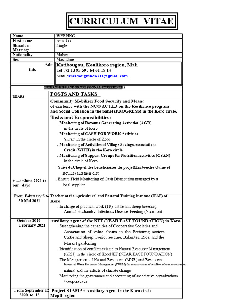 CURRICULUM VITAE Amadou Guindo Update | PDF | Mali