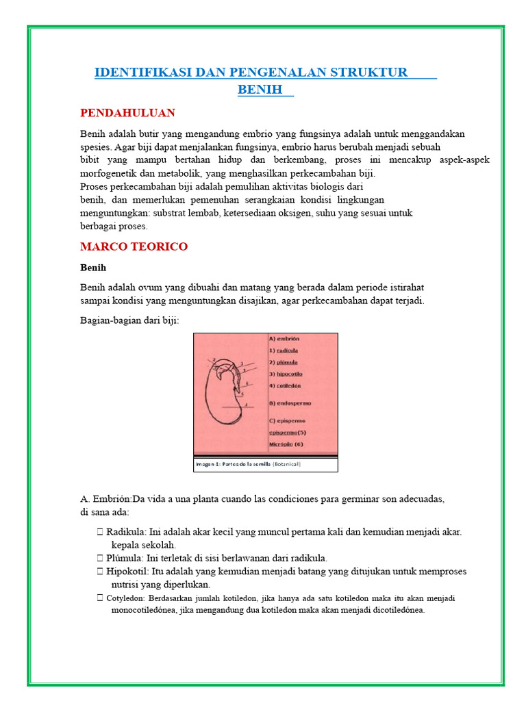 Struktur dan Jenis Benih dalam Botani | PDF
