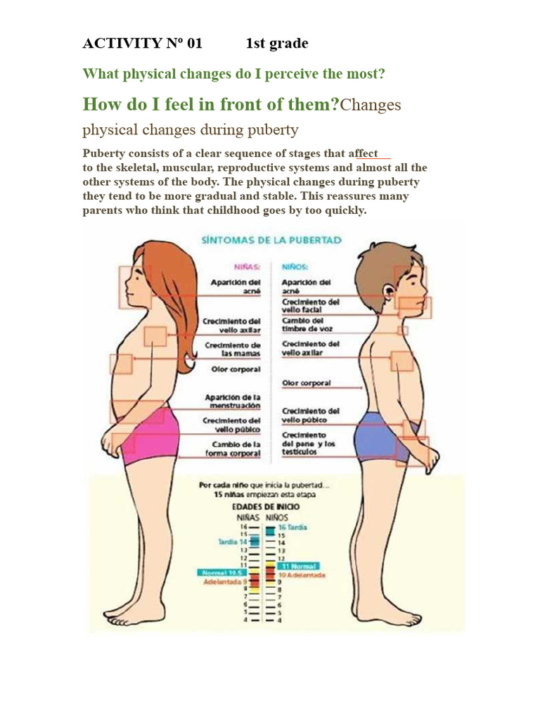 DPCC 02 - 1st grade | PDF