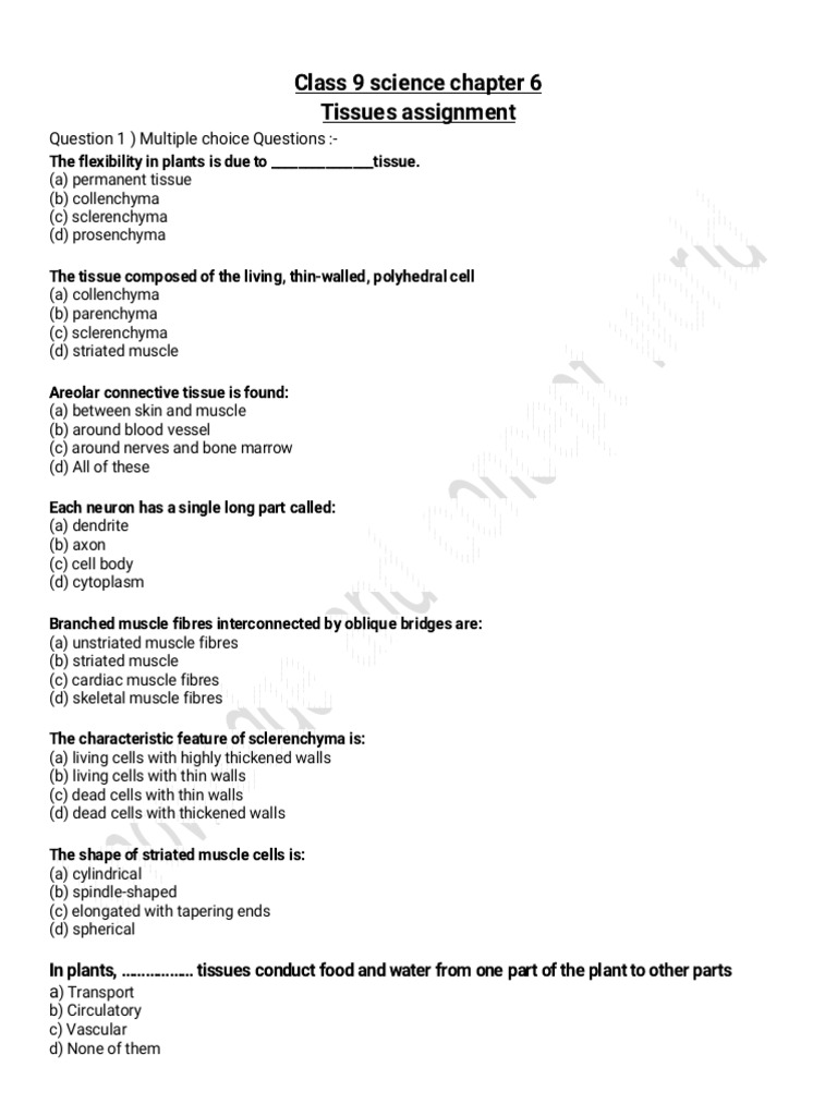 Class9 Assignment Chapter 6 | PDF | Tissue (Biology) | Connective Tissue