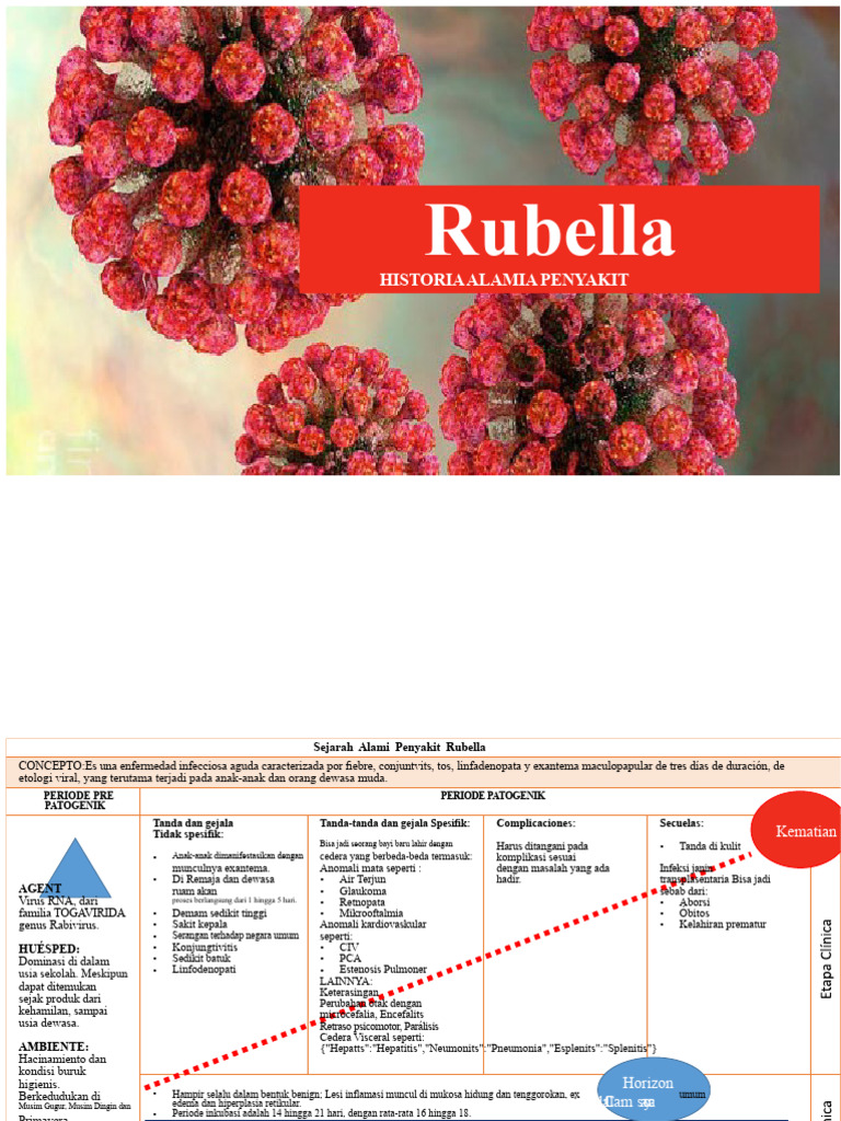 Sejarah dan Gejala Penyakit Rubella | PDF