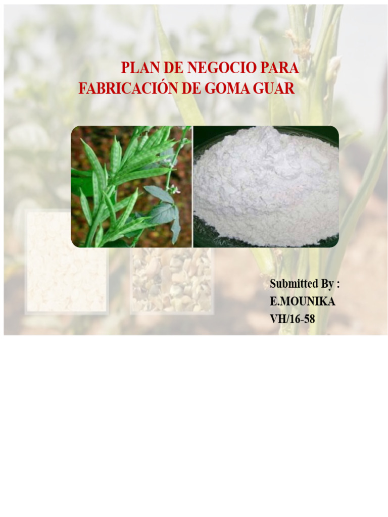 Goma Guar | PDF | Plan de negocios | Economias