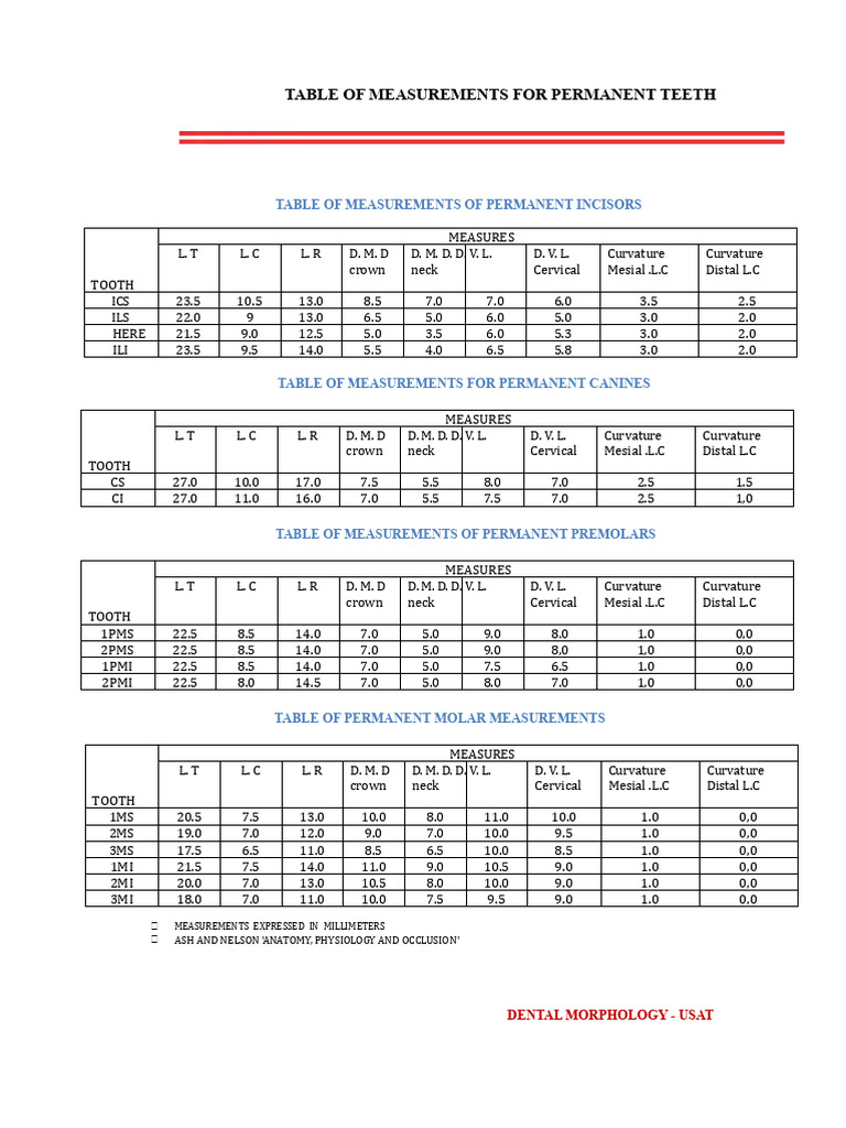 TABLE OF MEASUREMENTS FOR PERMANENT TEETH (1) | PDF | Animal Anatomy ...