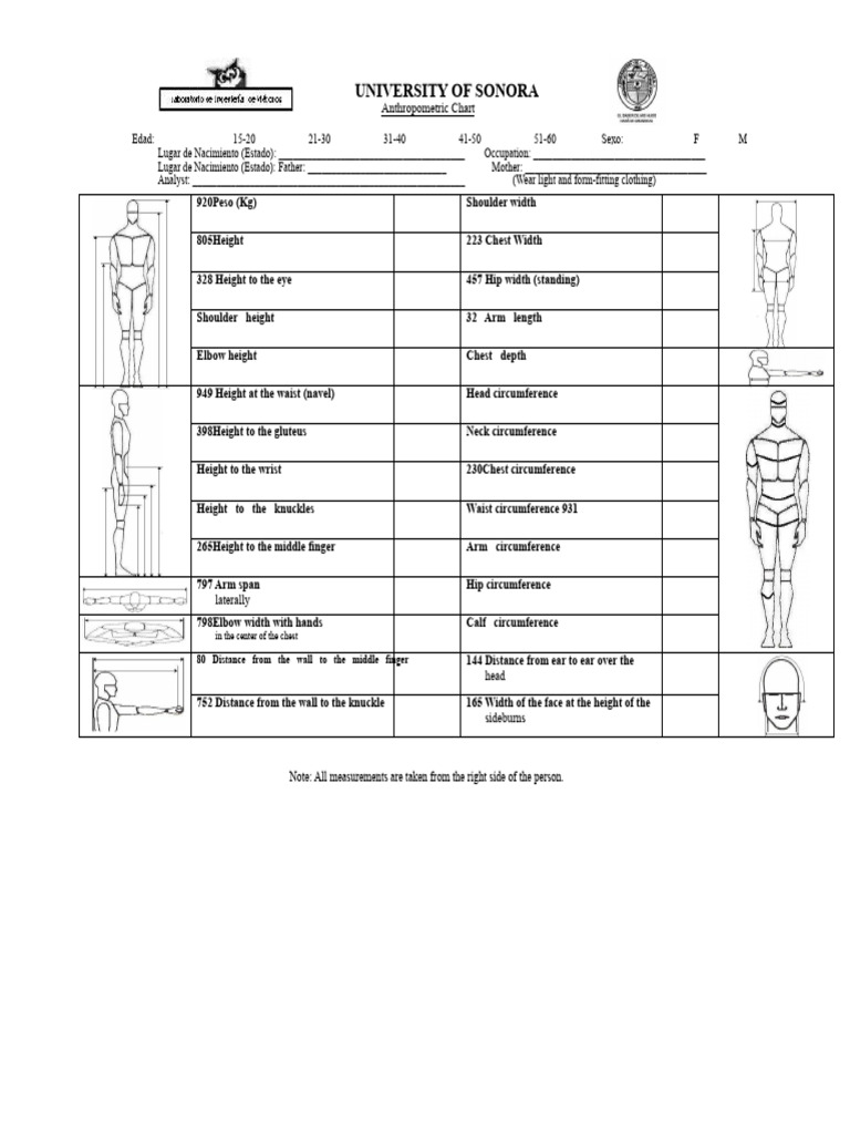 Anthropometric Measurements Chart | PDF | Length | Limbs (Anatomy)
