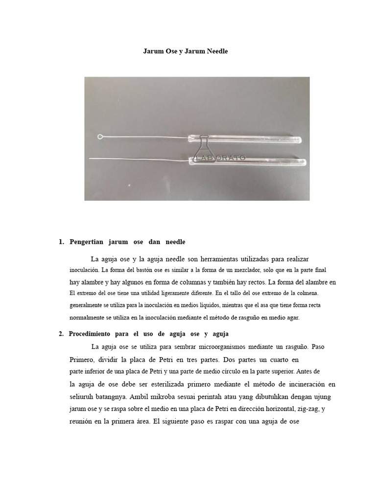 Uso y Cuidado de Agujas Ose y Needle | PDF