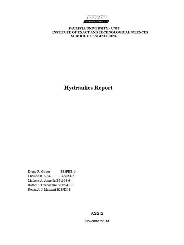 Hydraulic Report - Unip | PDF | Pressure | Force