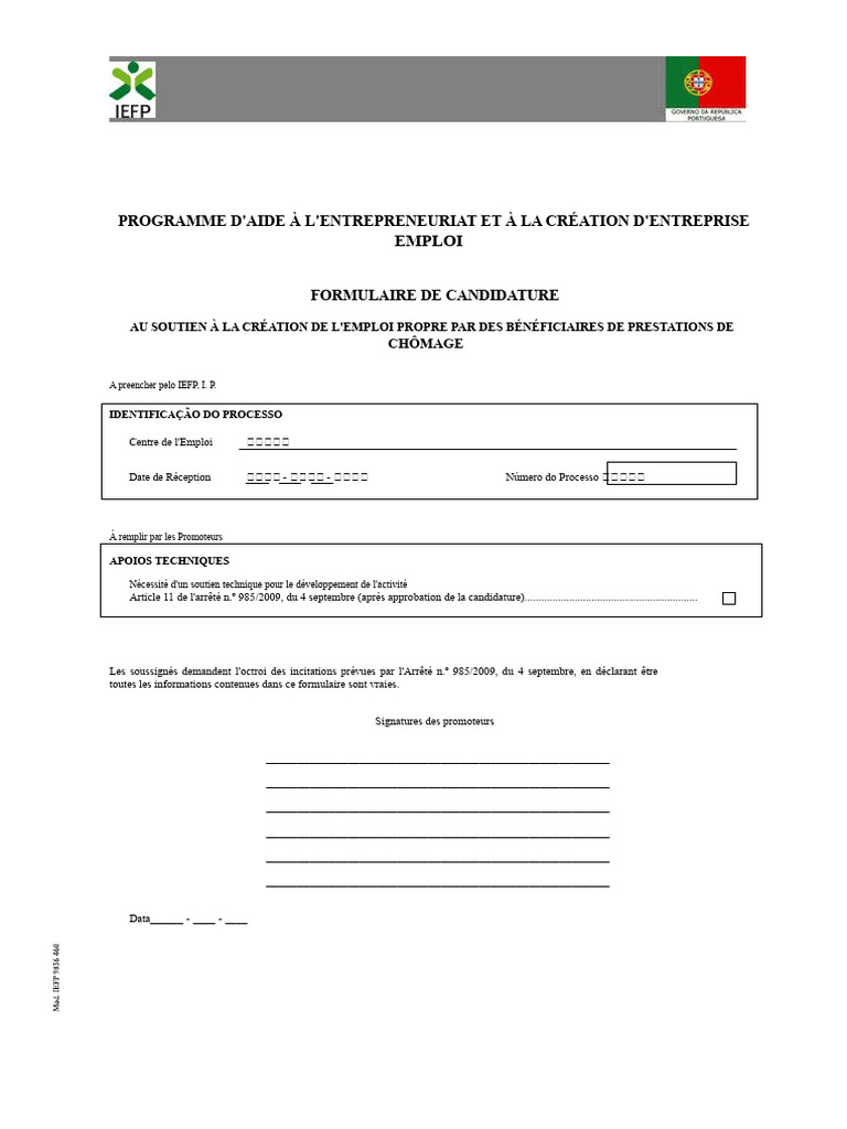 Aide à l'Entrepreneuriat : Formulaire de Demande | PDF | Dépréciation ...