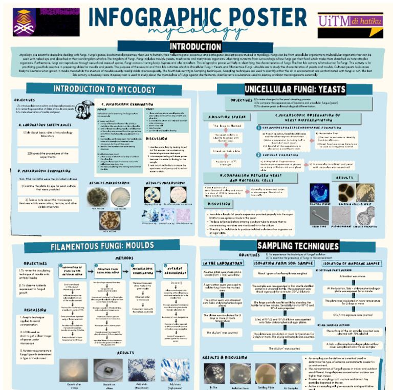 Poster Di Laboratorio Mic260 | PDF